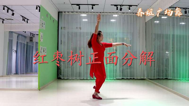 经典广场舞《红枣树》正面教学分解,简单易学,跟我一起来吧