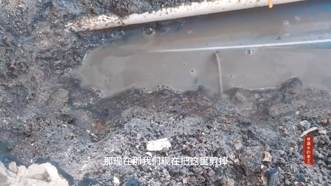 入户门口处冒水,是开发商预埋水管破裂漏水,应该由物业负责吗!