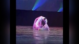 全国优秀少儿舞蹈《书韵》儿童舞蹈 独舞 现代舞