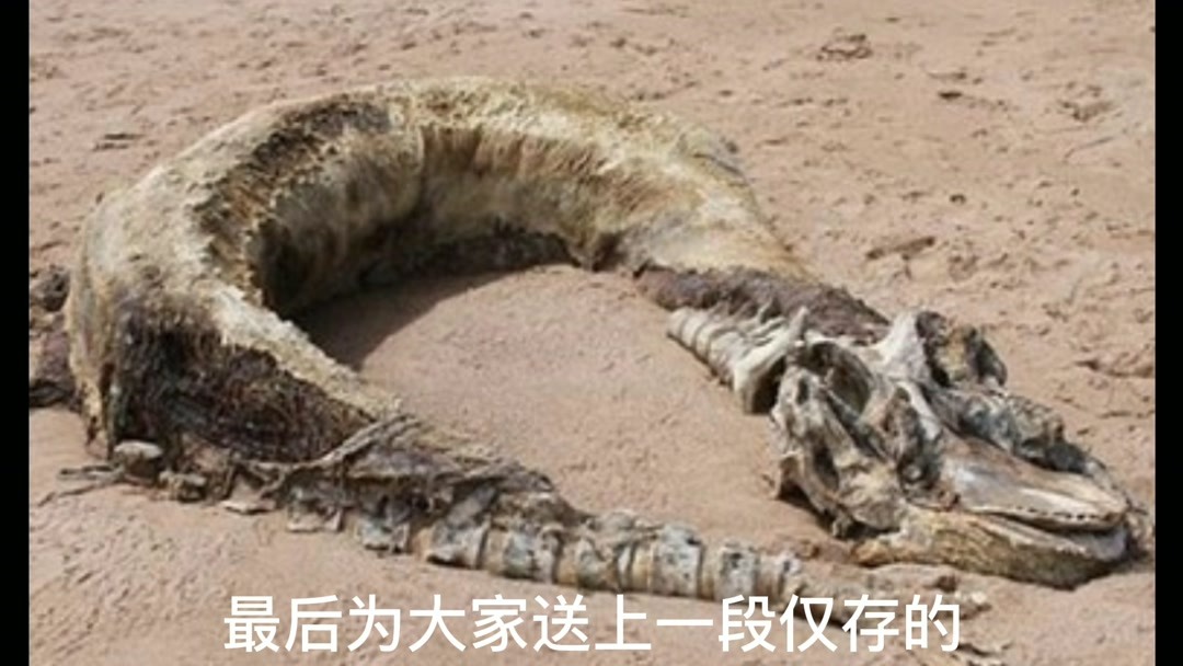 中国十大灵异事件TOP9营口坠龙事件