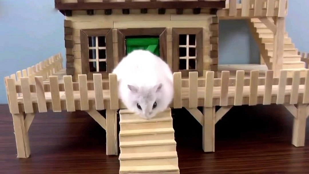 废物利用!一次性筷子制作超简单的仓鼠别墅,这样的DIY怎么样