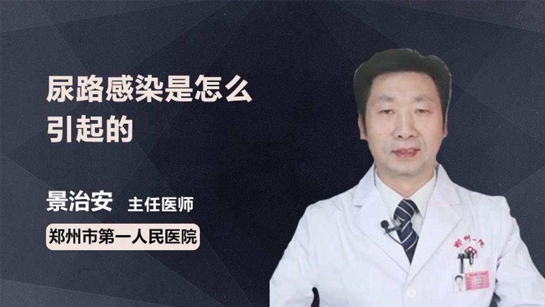 尿路感染是怎么引起的
