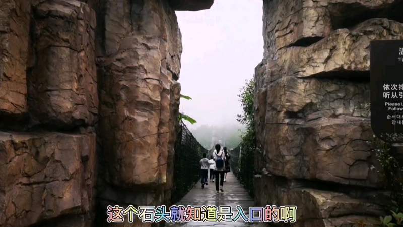 听说恩施5A景区的甩甩桥能甩掉烦恼!我们看看去