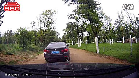 秦皇岛野生动物园 北戴河 行车记录仪画面 唯美 第一视角 身临其境 旅游