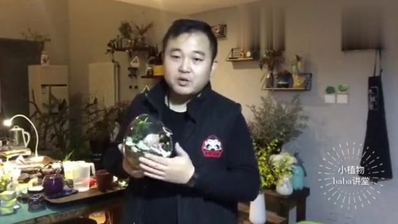 微景观的植物养护起来原来这么简单