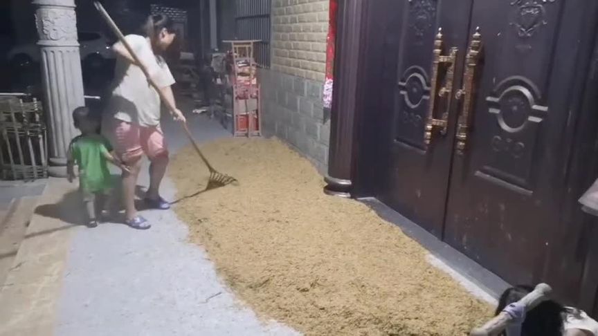 手工收割,二十多年没干了,今天累安逸了#田园生活 #收稻谷