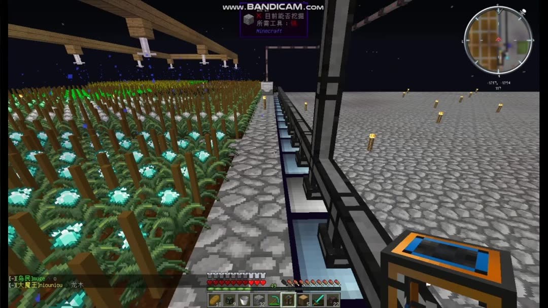 【无悔】我的世界空岛生存07:巨大树场