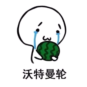 真心只为他 