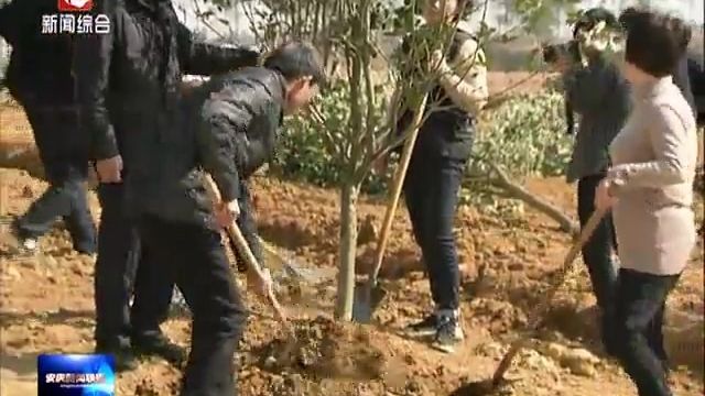 安庆市各地开展义务植树活动