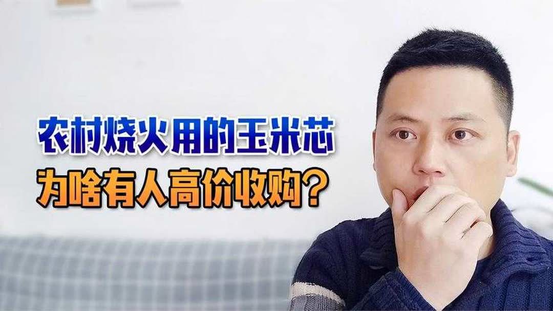 农村人用来烧火的玉米芯,如今有人高价收购,这东西有5个大用途