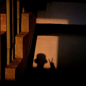 柯基没了蟹 