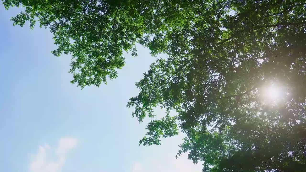 时代楷模|灌溉心灵