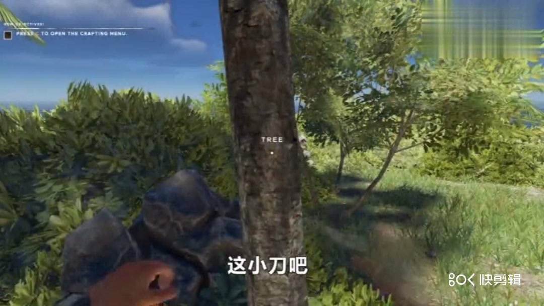 孤岛求生1 我和飞机坠落到一座荒岛后 开始荒野生存 屌德斯解说