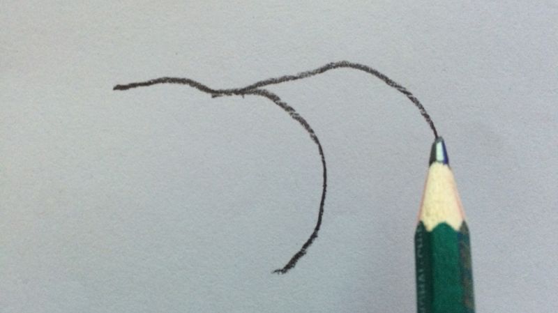 看完小伙这样画老虎，感觉其他的简直弱爆了！