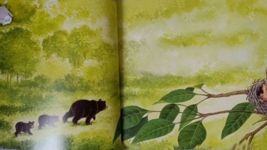 绘本故事|《黑熊的森林旅行》#我的野生动物朋友#黑熊的生活