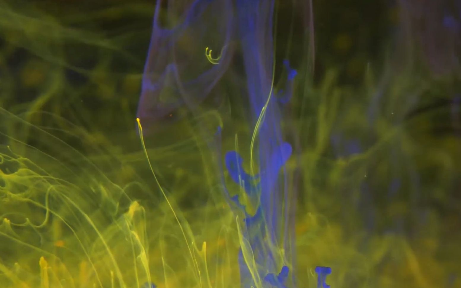 ...烟雾粒子运动古典传统中国风青花 中国风水墨旗袍秀歌舞晚会表演大...