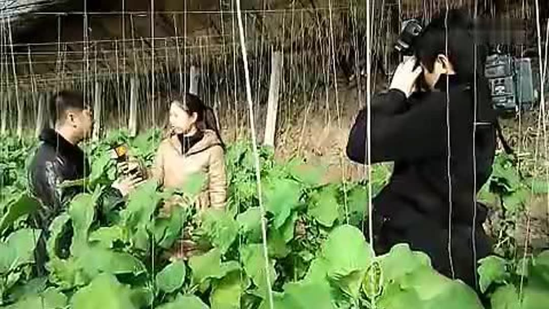 冬季温室大棚建造技术