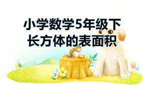 小学数学5年级下长方体的表面积