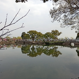 大未乡谈 