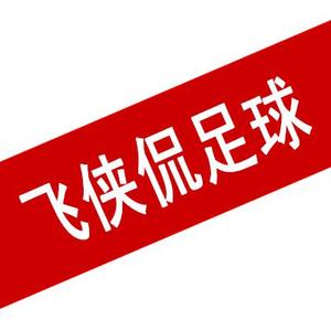 飞侠侃足球 