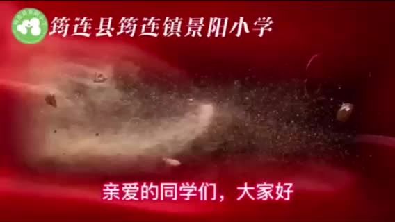 景阳小学开展“永远跟党走,奋斗新征程”爱国主义教育演讲活动。