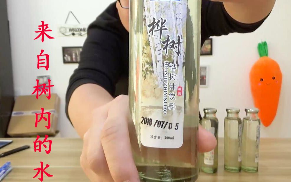 试喝天然的森林饮料“桦树汁”没想到树的汁液做成饮料还挺好喝的