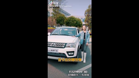 长安皮卡神骐F30