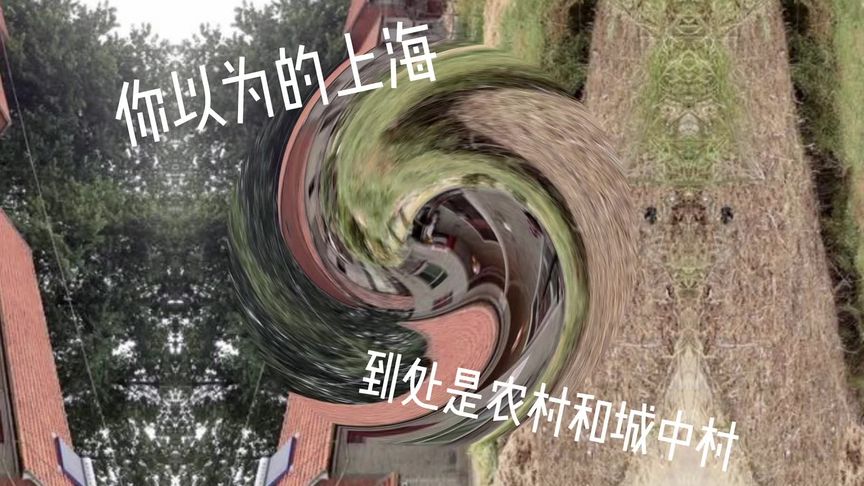 实际上的上海#你以为的vs实际上的 #魔都 #上海 侬好,上海!