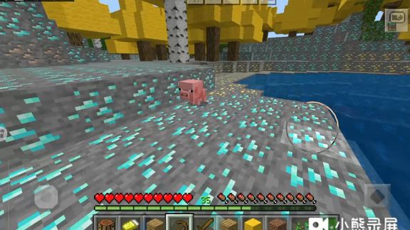 我的世界生存~钻石大陆~第二期。