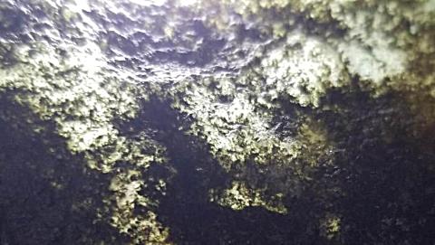 别眨眼! 黑漆漆的翡翠原石开窗开出玻璃种翡翠, 美到你心醉