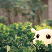 吃桃子的小姚说 