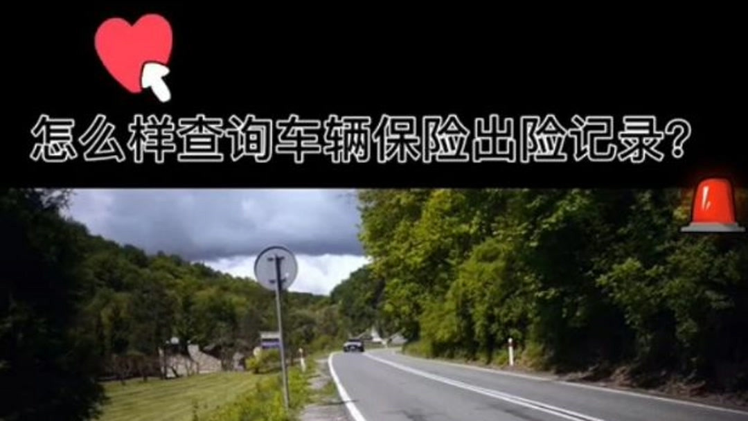 怎么样查询车辆保险出险记录?