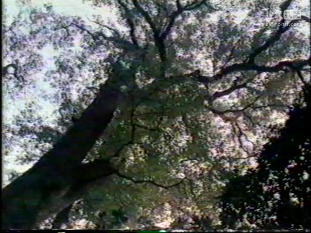吴昌硕篆刻