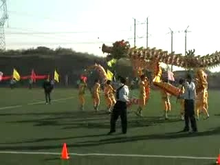 运动会开幕式软件学院舞龙表演视频
