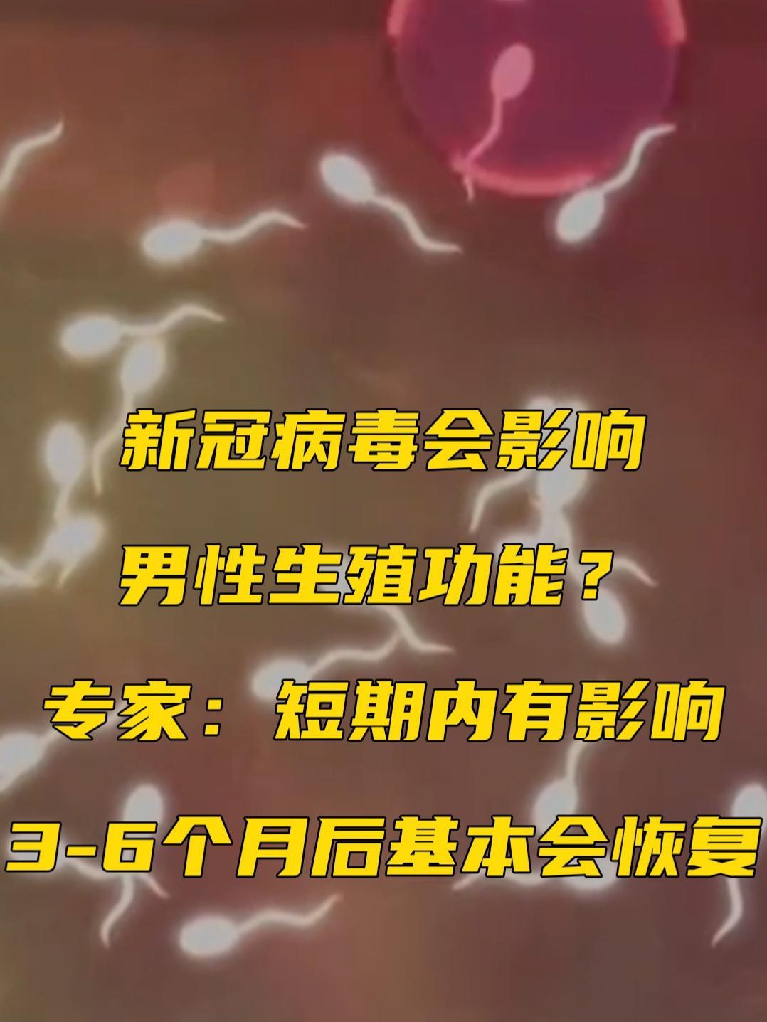 新冠病毒会影响男性生殖功能?专家:短期内有影响,3-6个月后基本会恢复