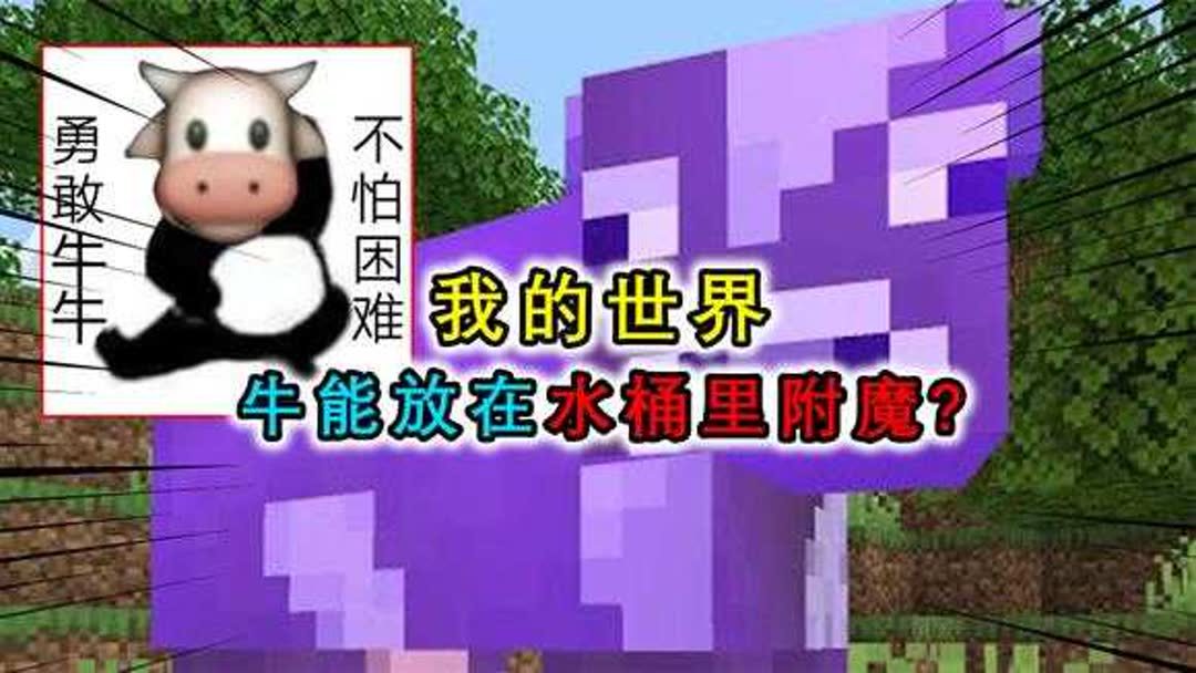 我的世界:牛能放在水桶里附魔?5级锋利附魔牛,坐上去就死了