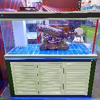 泗海鱼缸 