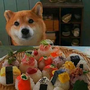 安安追剧M 