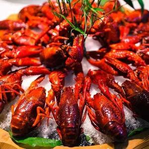 悲哀和眼泪都是真的 