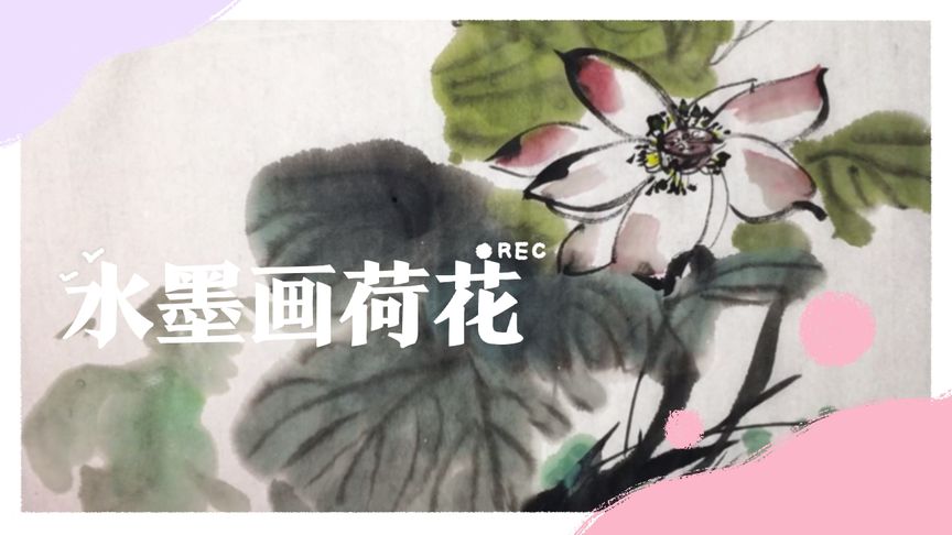 穿越吧!伍六七!中国画荷花画法 水墨画 花鸟画 写意画 中国画