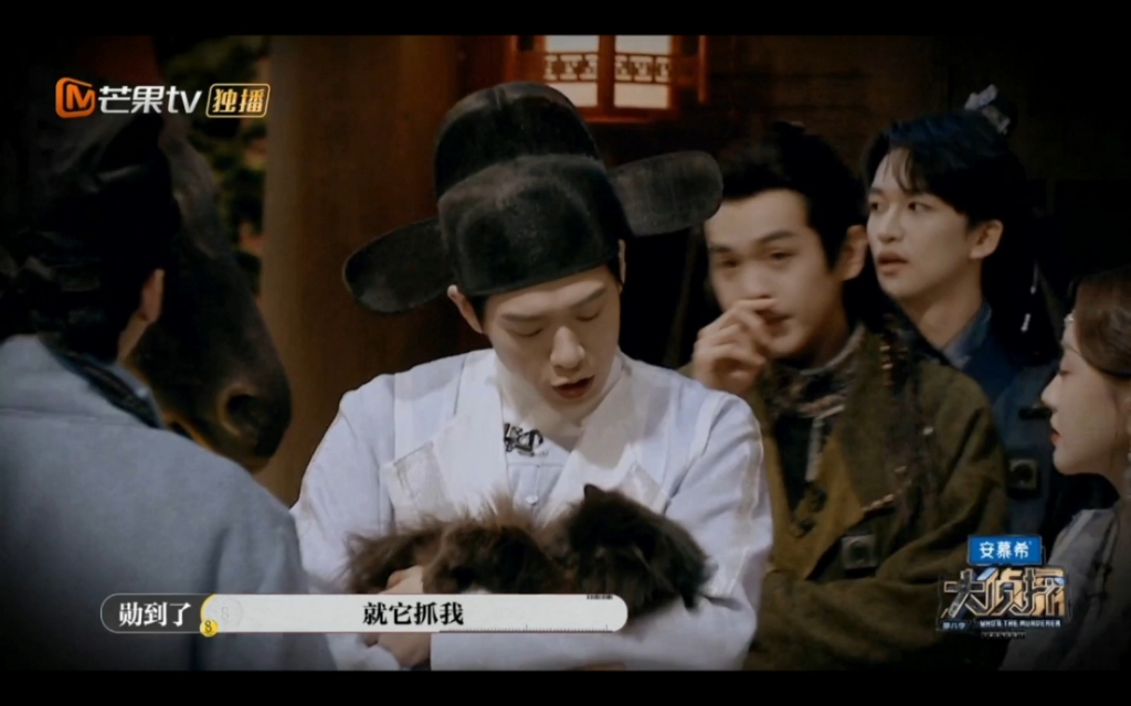 【明侦|猫大勋&大勋猫】善良的人和动物相处也很和谐温馨～