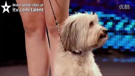 会跳舞的狗狗-轰动全场