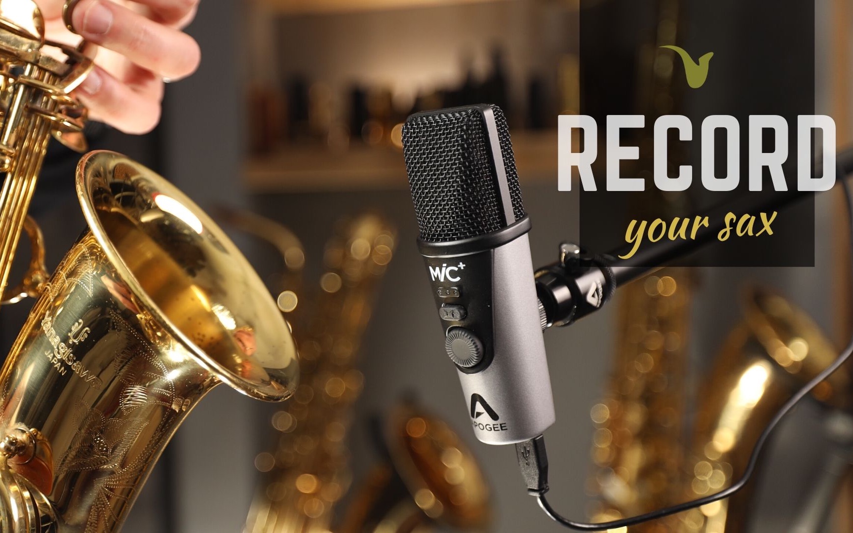 【录音解决方案|系列合集】萨克斯风录音设备解析系列二