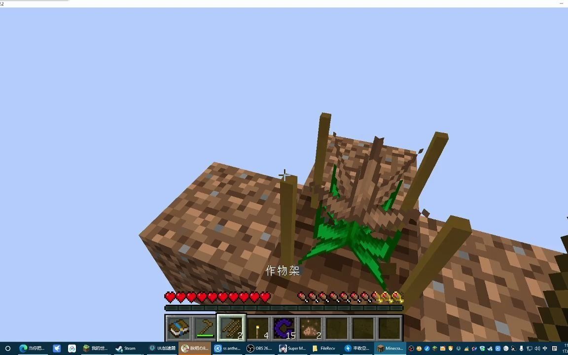 我的世界单方块生存,第一期