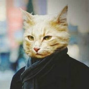 猫叔_超低人气UP 