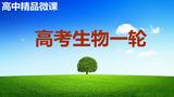 高考生物一轮 遗传定律 第8讲 伴性遗传(中)