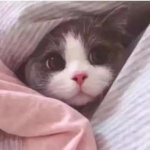 和而不同一一一 