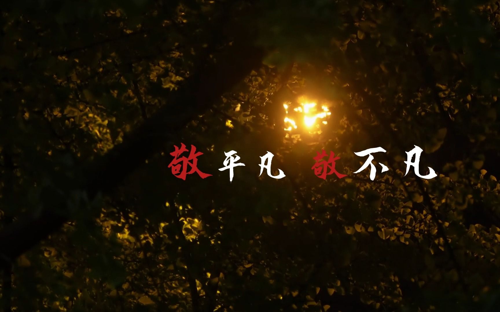 每一双手,都是一个故事;每一个忙碌的身影,都值得被尊重。五一劳动节,...