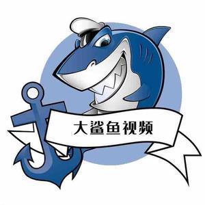 机智的大鲤子 