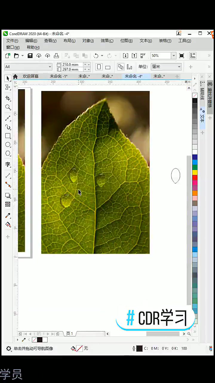 【广告设计就业教学】CDR怎么绘制真实水滴效果 读技校平面广告...